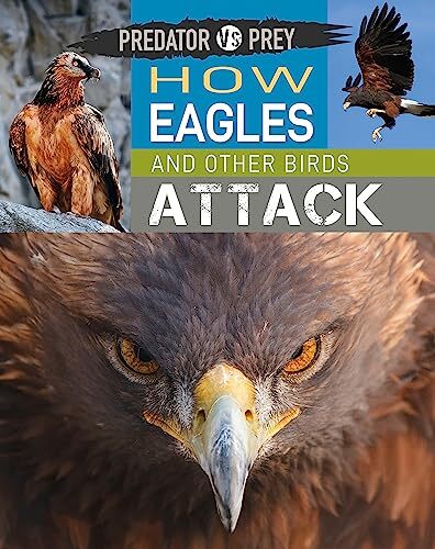 Predator vs Prey: How Eagles and other Birds Attack By Tim Harris ...