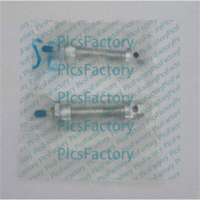 ONE NEW FSETO Cylinder DSN-8-30-P 5032 | eBay