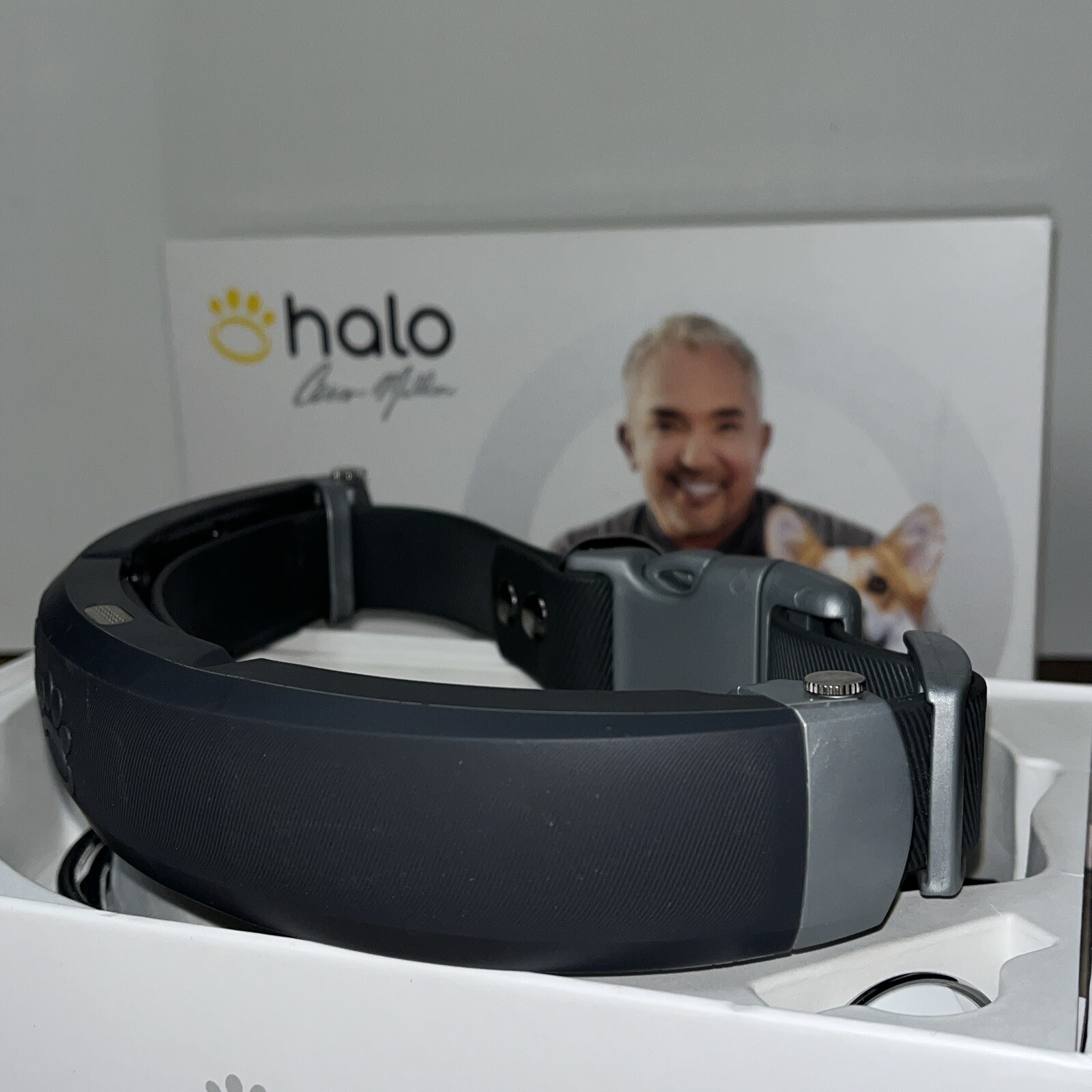 Halo Dog Collar With Virtual Fence GPS Activity Tracking & Training ...
