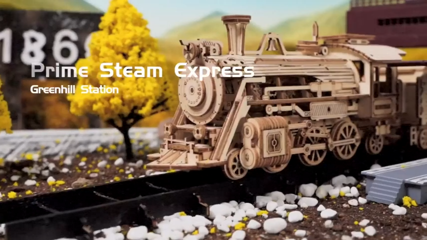ROKR Steam Express Train 3D Wooden Puzzle Mechanical Model Kits Brain ...