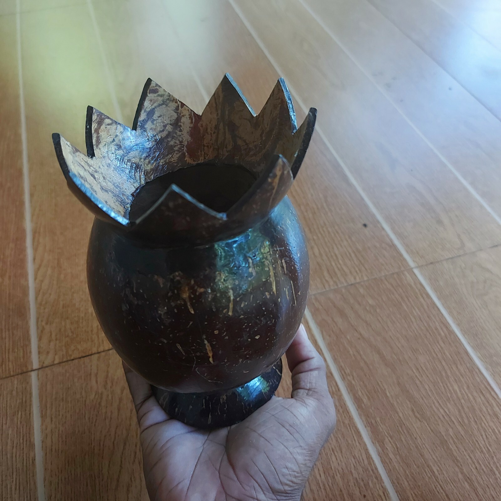 Coconut shell Flower vase hand made natural ECO FRIENDLY | eBay