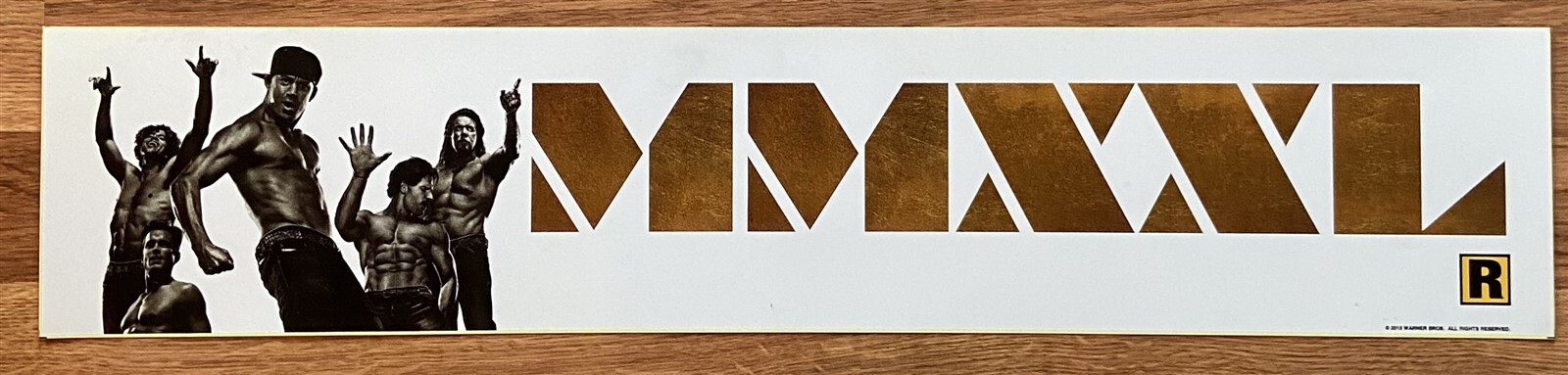 📽 Magic Mike 2 / MMXXL (2015) - Movie Theater Mylar / Poster 5x25 | eBay