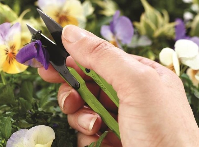 Deadheads Green Deadheading Garden Mini Handy Snips Snippers for sale ...