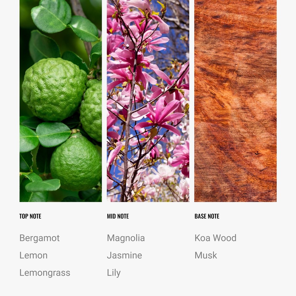 | 24K Magic Pro-Pod Oil Blend | Luxury Hotel Inspired Aromatherapy ...