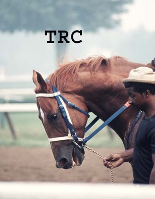 SECRETARIAT & EDDIE SWEAT - ORIGINAL 8X10 1973 PHOTO AT SARATOGA RACE ...