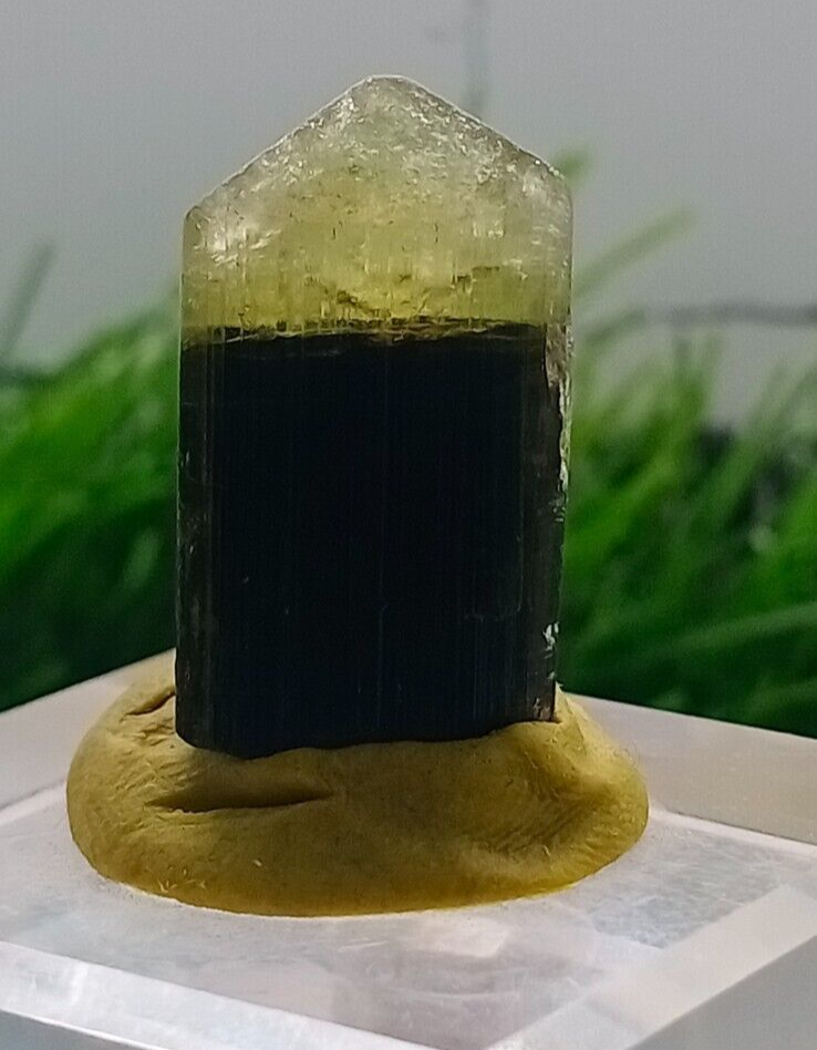 34.5 CT LIGHT YELLOW CAP TOURMALINE CRYSTAL FROM ASTAK NALA MINE SKARDU ...