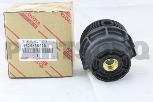 1562036020 Genuine Toyota Cap Assy, Oil Filter 15620-36020 | eBay