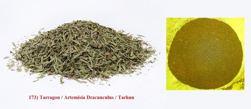 173) Tarragon & Powder / Artemisia Dracunculus / Tarhun & Tozu | eBay