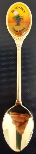 Blackboy Western Australia Sonic Souvenir Spoon Gold Tone VGC | eBay