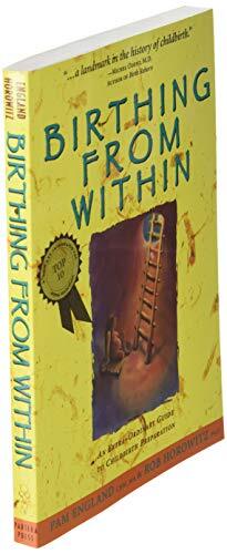 Birthing from Within: An Extra-Ordinary Guide to Childbirth Preparation ...