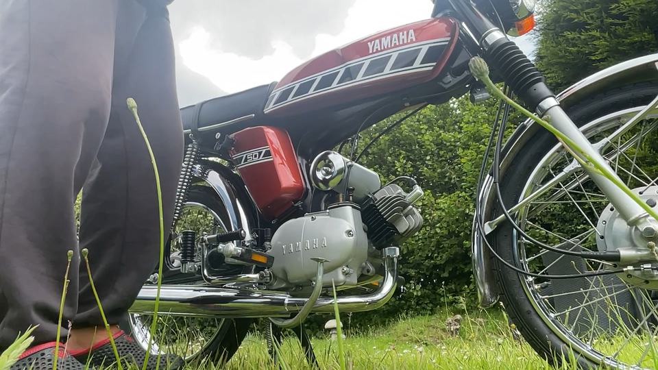 Fs1e. 1976 badger brown | eBay UK