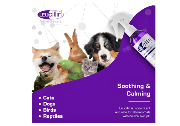 LEUcillin Antiseptic Spray (500ml x 2) -Dogs,Cats & All animals *FREE ...