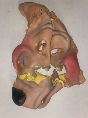 Flat Rolfe Mask From The Rock-afire Explosion * Autographed by Aaron ...