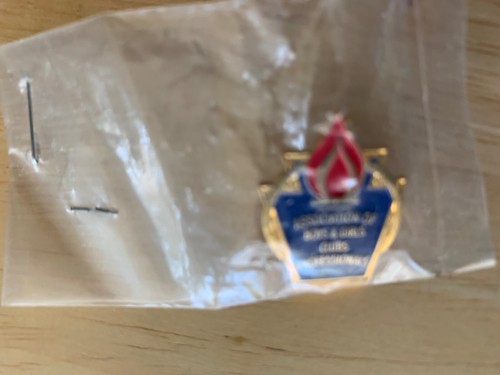 Boys & Girls Clubs of America Association Professionals Pin/New In Bag ...