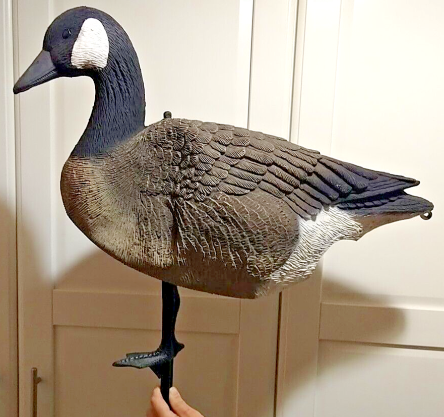 Sport Plast Foldable Canadian Canada Goose Geese Decoys Dozen 12 Made ...