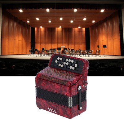 Accordian 22 Key 8 Bass Professional Button Instrument | eBay