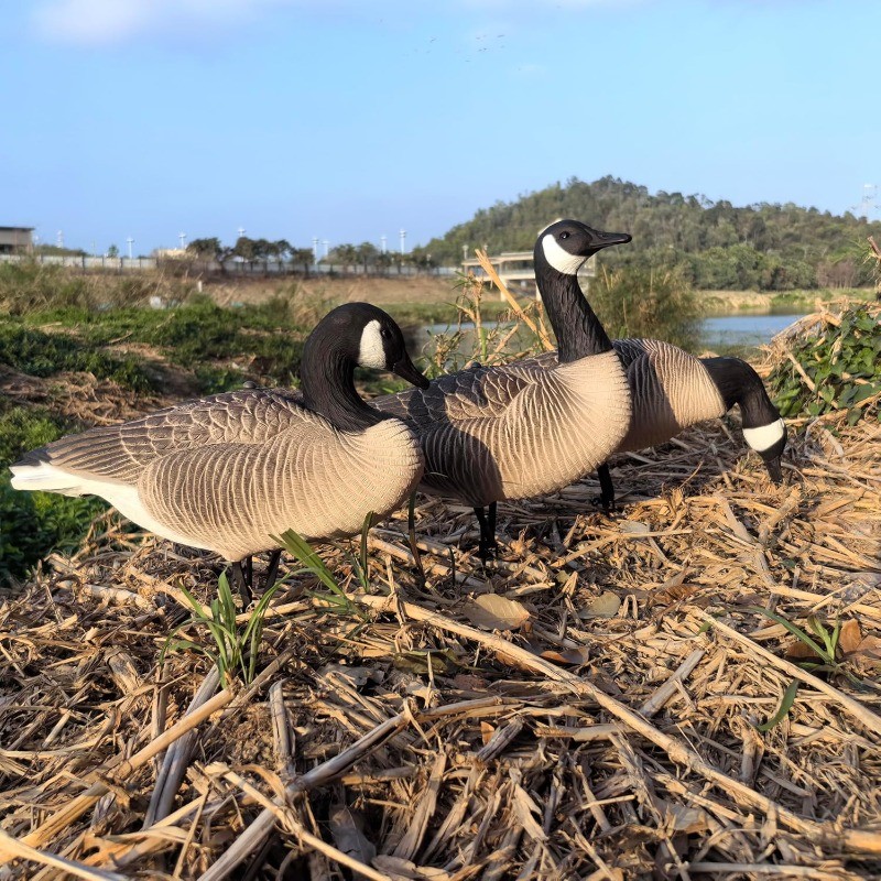 Goose Decoys Pack of 6 Popular New Material EVA Collapsible Plastic ...