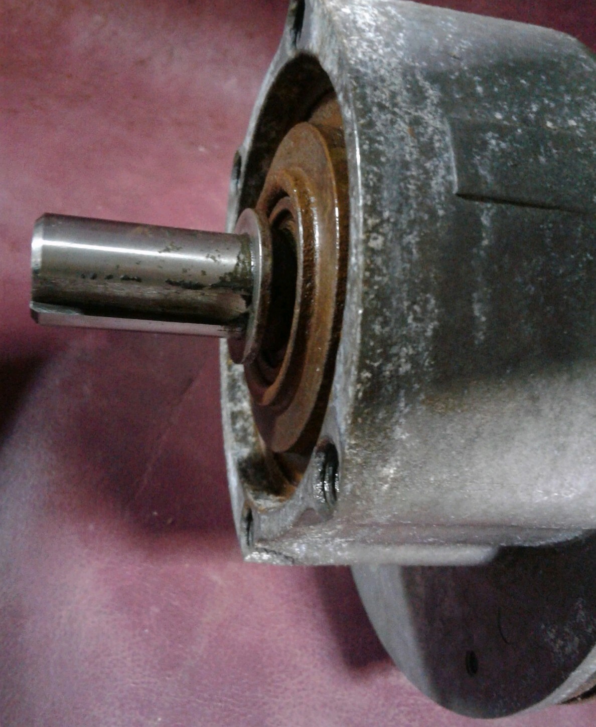 TOMCAT MINI MAG 3/4 HP 24 Volt 270 RPM MOTOR. P/N 21-2500. Our #1. | eBay