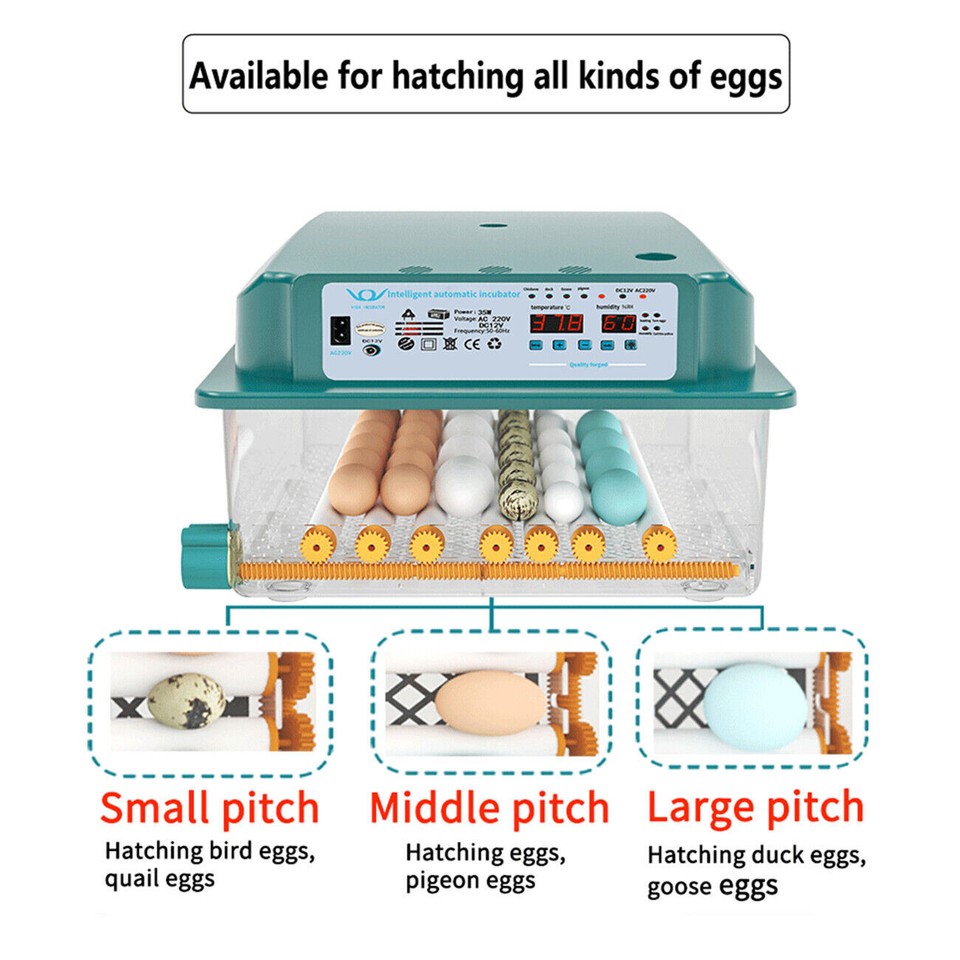 36 Eggs Incubator Chicken Incubators for Hatching Quail Automatic Egg ...
