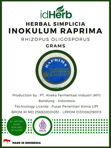 8 OZ /227 g BEST Tempeh Starter Yeast Ragi Inokulum RAPRIMA Rhizopus ...