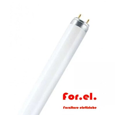 OSRAM Néon Fluorescent Fluora 120cm 36W/77 G13/T8 1400lm | eBay
