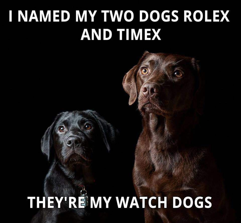 Watch Dogs Meme