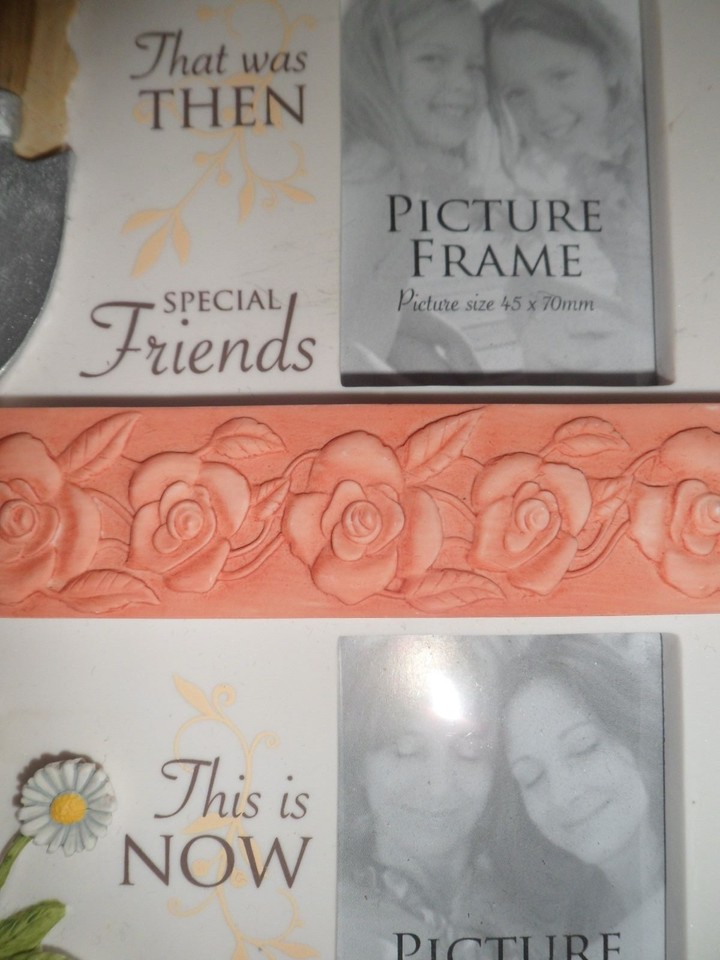 NEW Photo frame Gardening design for FRIEND then and now | eBay UK
