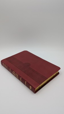 MEV Bible Thinline Reference Cranberry : Modern English Version by ...