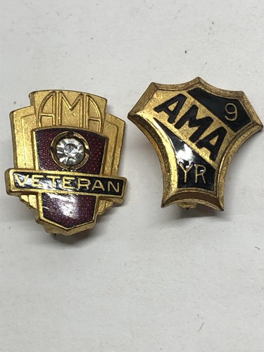 RARE AMA Veteran HD Pin From Robison Harley-Davidson Dealership AMF 1/2 ...