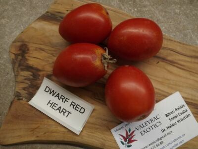 Dwarf Red Heart Tomato - 5+ seeds - Heirloom Vegetable Seeds! P 299 ...