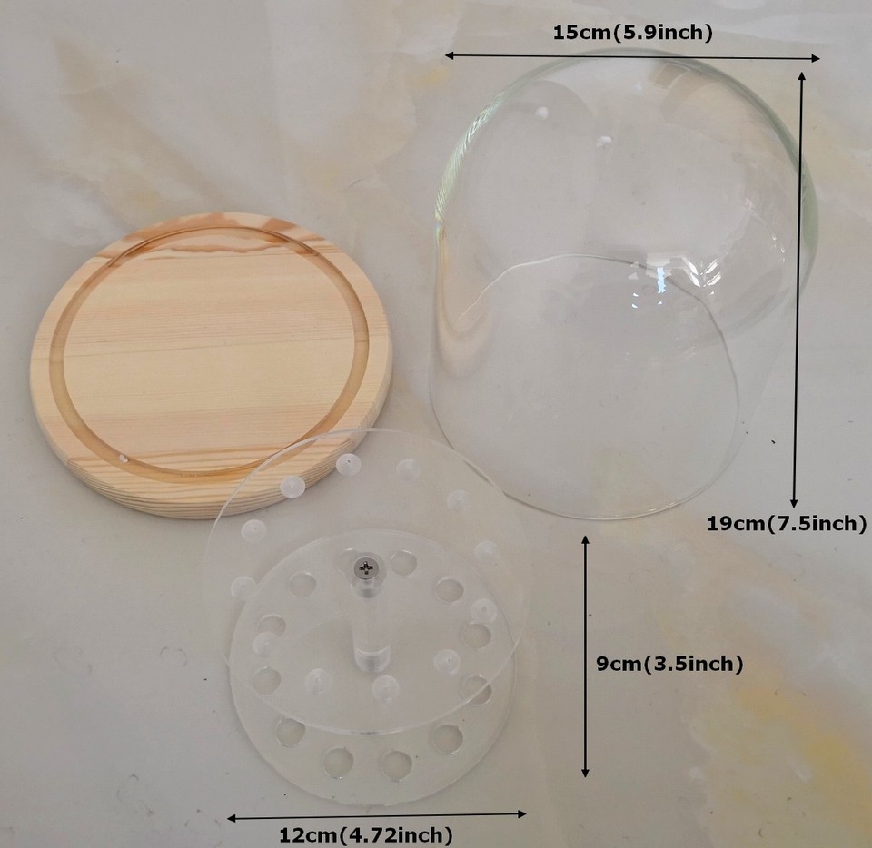 Glass Dome Display Case W+ Acrylic 2 Shelves W+ Wood Base Porcelain ...