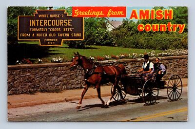 Young Amish Couple -Sunday Ride Courting Buggy Intercourse Pa. Postcard ...