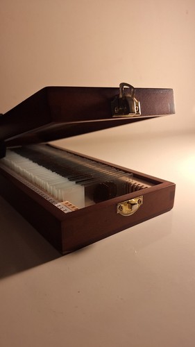 Dexter Morgan's Trophy Case & 46 Blood Slides /Handcrafted Premium ...