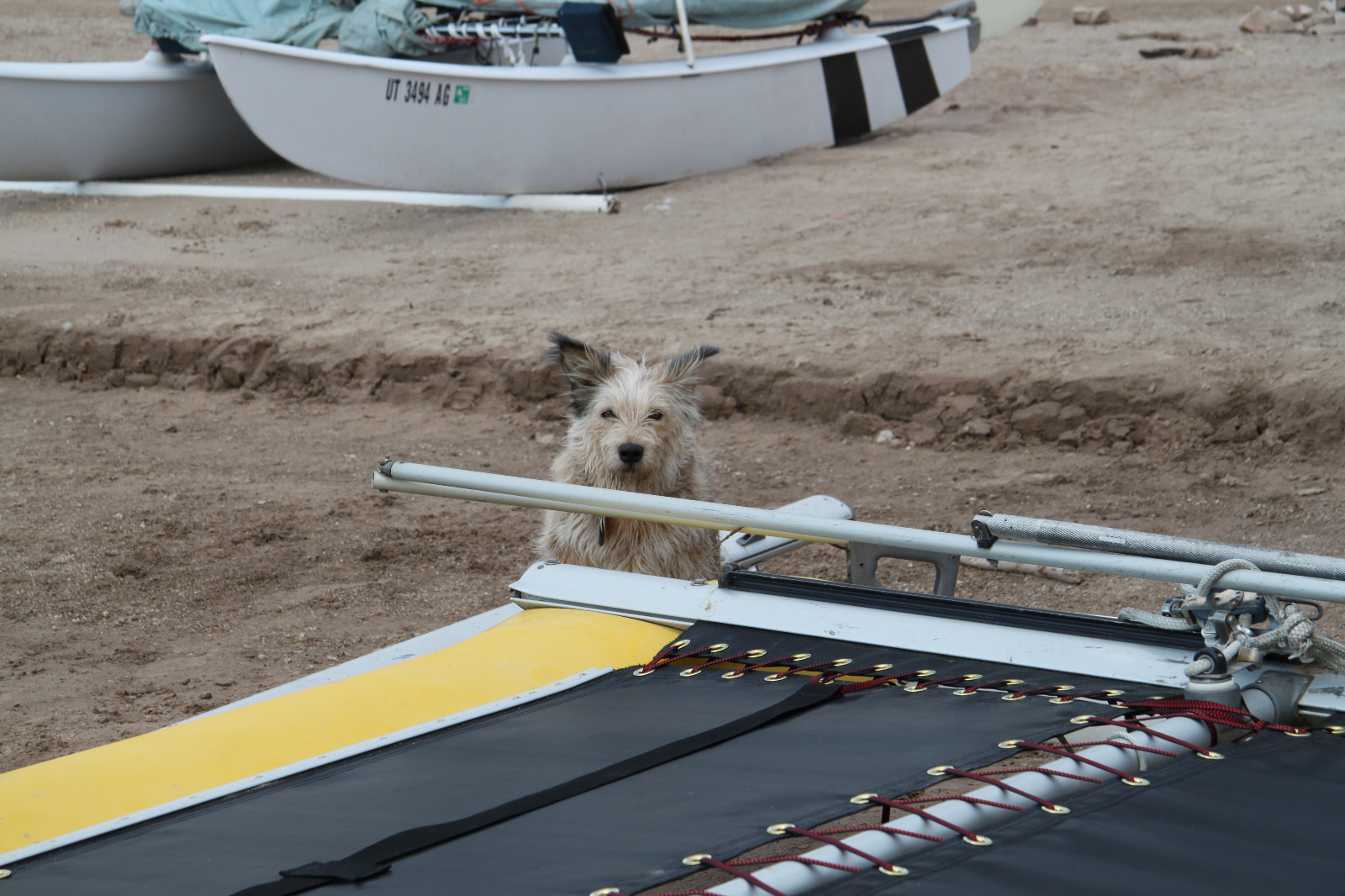 SOLCAT 18 Sol Cat Trampoline New Black Mesh w/2 Pocket For Sol Cat 18 ...