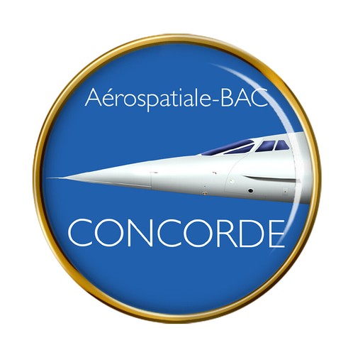 Concorde Nose Pin Badge | eBay