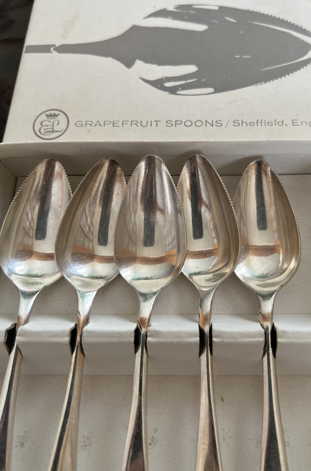 Raimond Sheffield England boxed set of 5 grapefruit spoons Silverplate ...