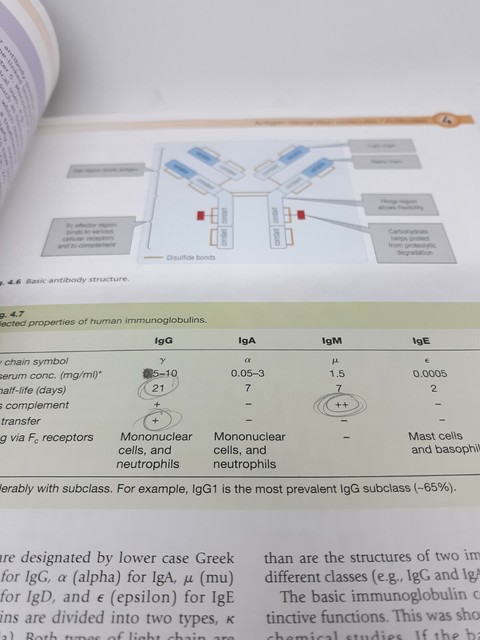 Immunology for Medical Students : With Student Consult Online Access by ...