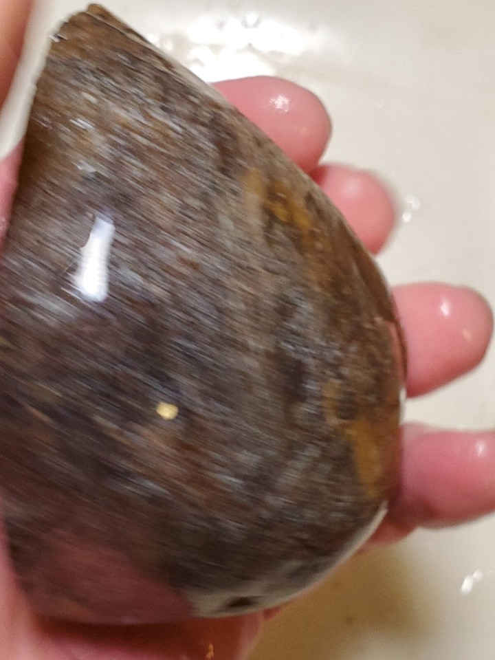 Montana Yellowstone River Agate Rare Sagenite Lapidary 390g Rough ...