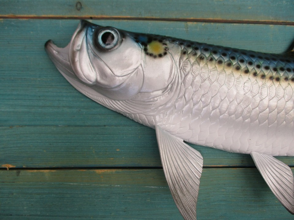 Tarpon Hand Painted 19" Replica Wall Mount Sculpture Fishing Salt Water ...