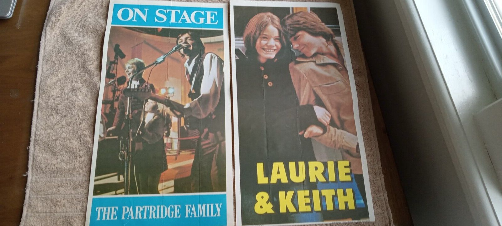 TOPPS The Partridge Family POSTERS Complete Set-1971-24 Posters | eBay