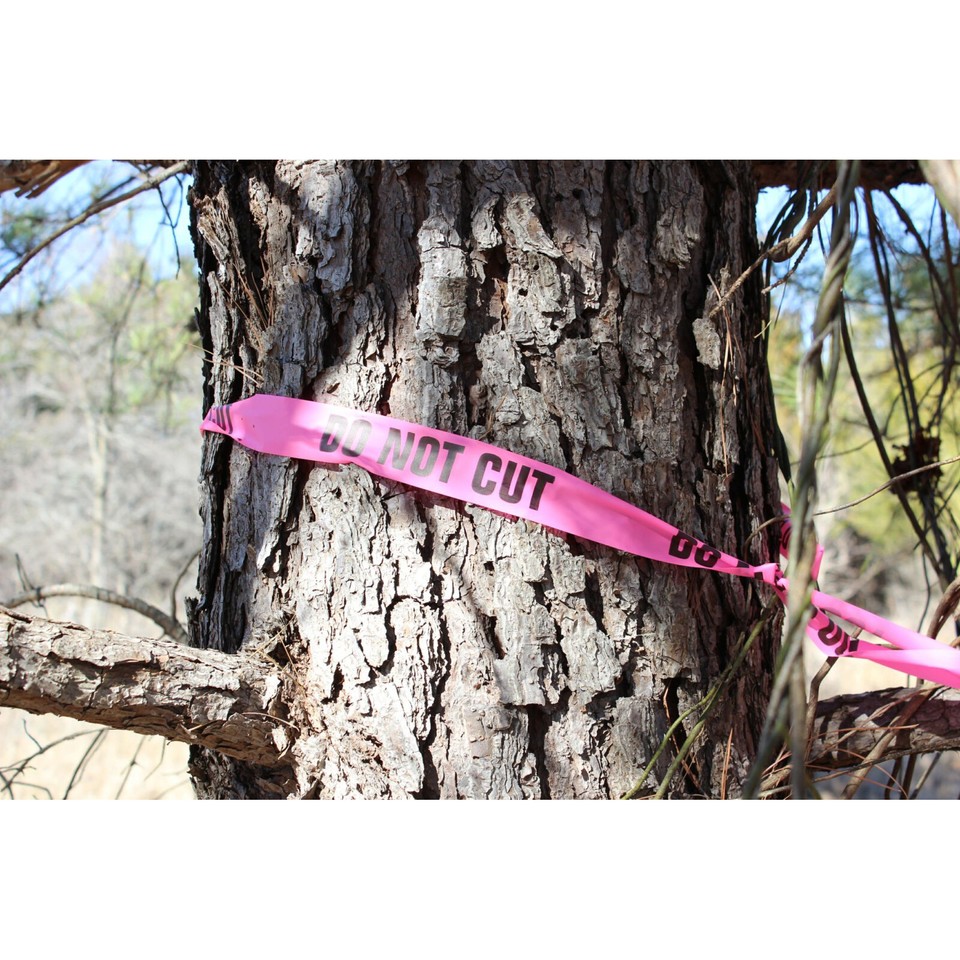 Presco Flagging Tape: 1-1/2 in. x 50 yds. (Neon Pink/Black WETLAND ...