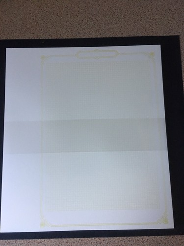 Album Leaves To Fit Standard Spring back Albums ( Simplex or Senator ...