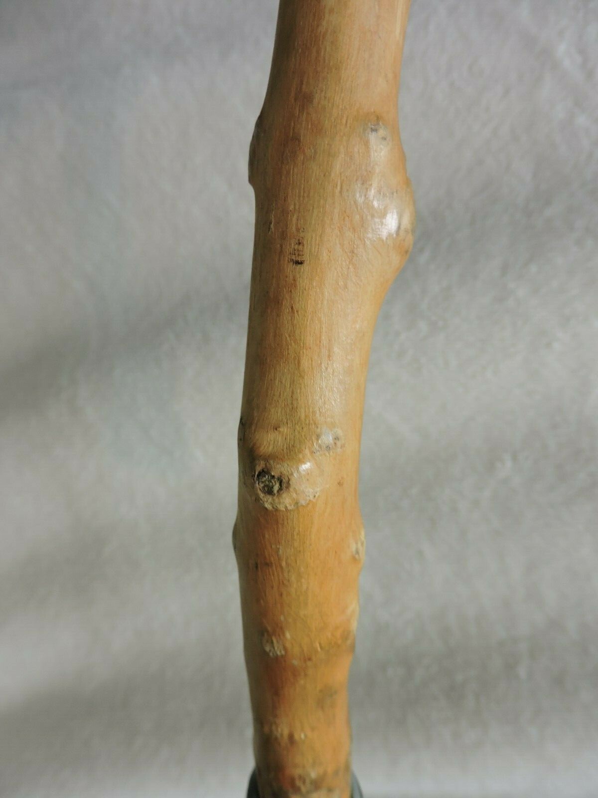 Antique Burl Twisted Walking Stick - Gem
