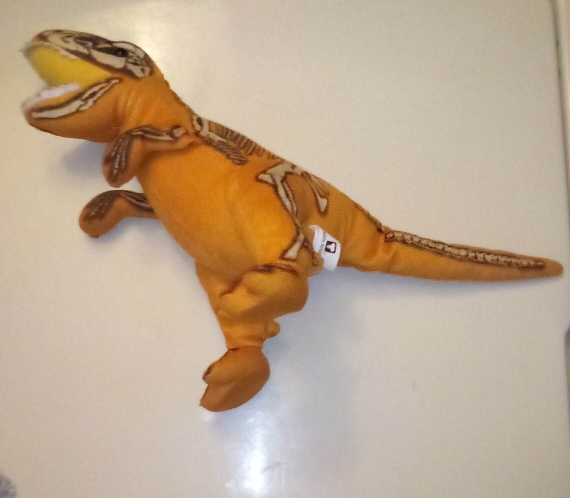 Velociraptor Skjelett Merket