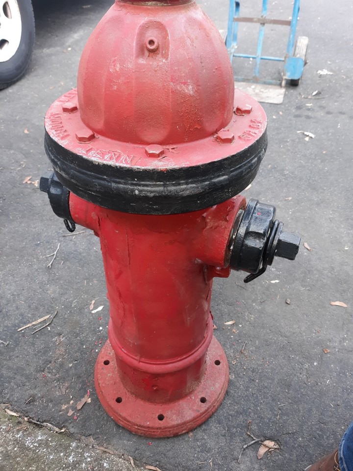 Antique Fire Hydrant Chattanooga Tennessee Authentic Firemen Equipment ...