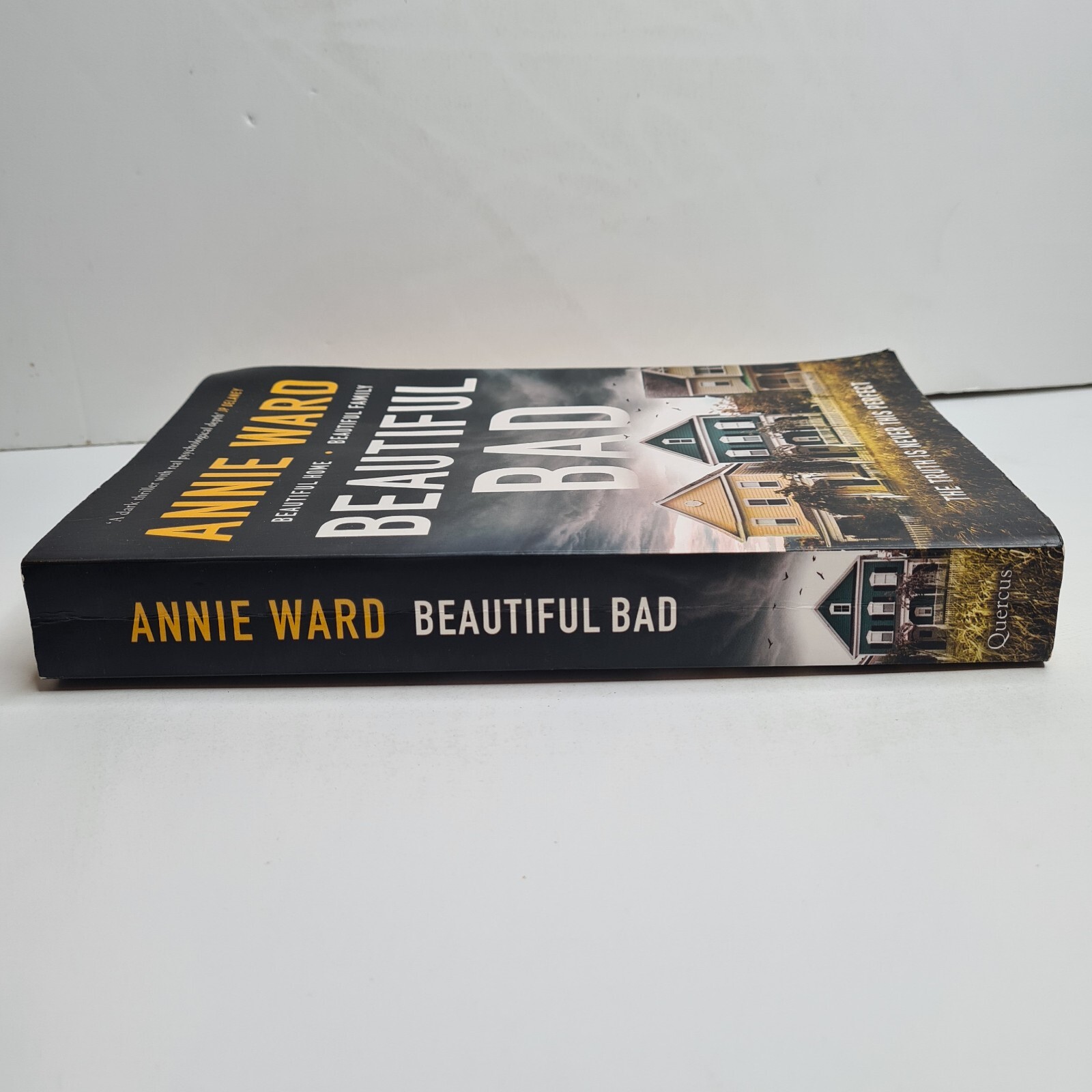 Beautiful Bad by Annie Ward (Paperback) | eBay
