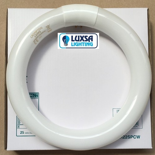 22W T9 Cool White Crompton Circular Fluorescent tube Round FC22W/840 ...