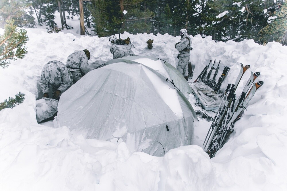 8 Military Survival Manuals|Evasion|Army| Marine|Winter|Water|Summer ...