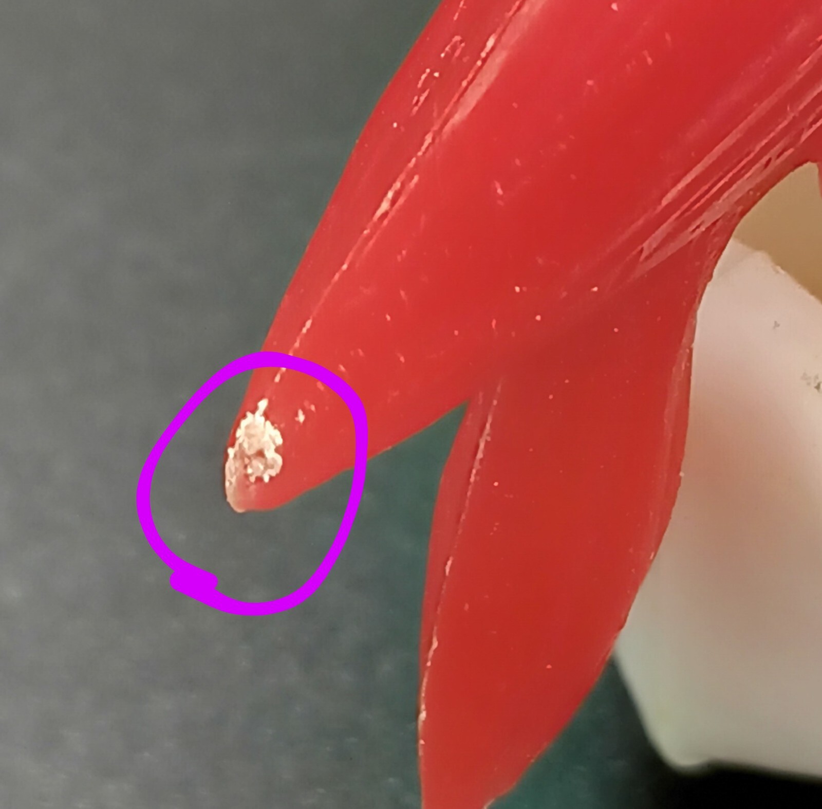 Vintage EUC Woodpecker on Log Toothpick Holder MCM Kitsch Retro Kitchen ...