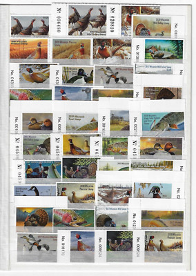 US 1999-2018 COLLECTION OF 100+ WISCONSIN DUCK, TURKEY & FISHING STAMPS ...